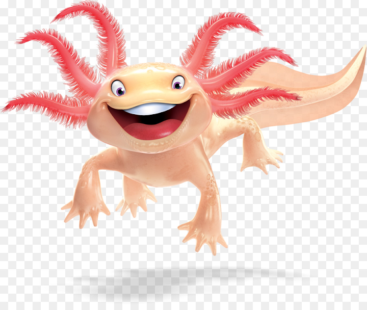 Free: Axolotl Reptile png download - 2834*2363 - Free Transparent ...