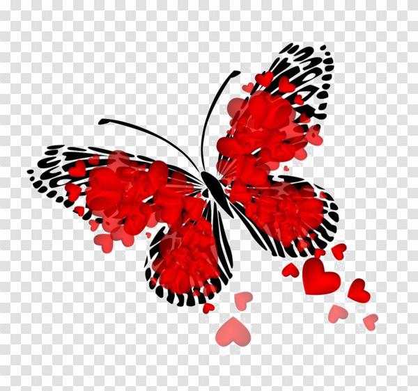 Free: Red Butterfly PNG Transparent Image - nohat.cc