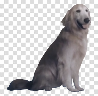 Free: Dog.png | Ace Combat JPEG Dog | Know Your Meme - nohat.cc