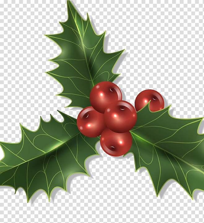 Free: Christmas decoration Holly, Christmas plant decorations ...