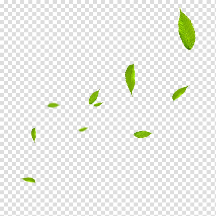 Free: Watermark, Leaves transparent background PNG clipart - nohat.cc