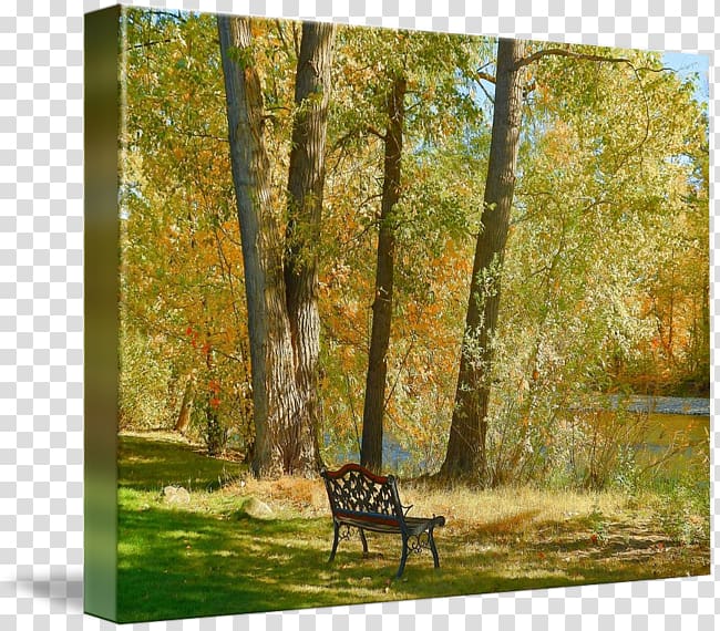 Free: Temperate broadleaf and mixed forest Painting Gallery wrap Fauna ...