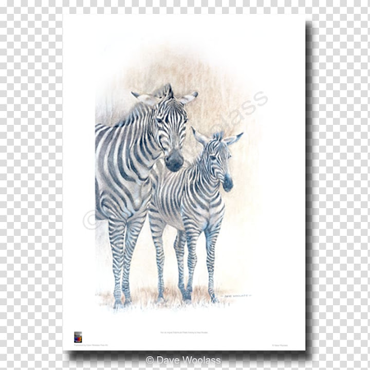 Free: Paper Printing Art Giclée Printmaking, watercolor zebra ...