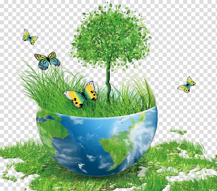 Free: Blue and green bowl with green grass and small tree animated ...