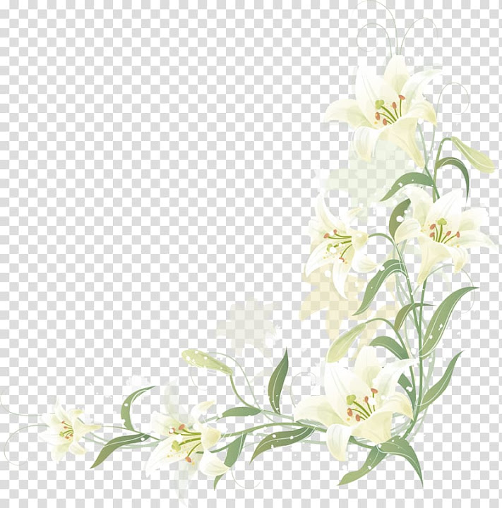 Easter Lily Border Easter Lily Border Vector Images | Depositphotos