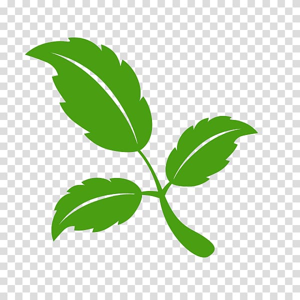 Free: Leaf Cartoon, leaf transparent background PNG clipart - nohat.cc