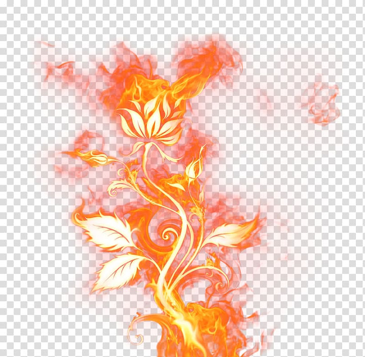 Free: Pattern, Beautiful Rose of Fire , flaming flower transparent ...