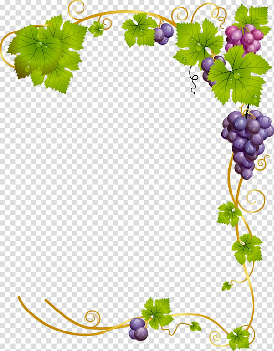 Free: Grapes , Common Grape Vine Wine, green frame transparent ...