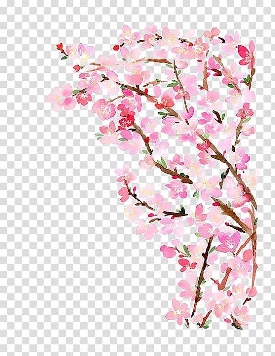 Free: Pink petaled flowers painting, Paper Cherry blossom Watercolor ...