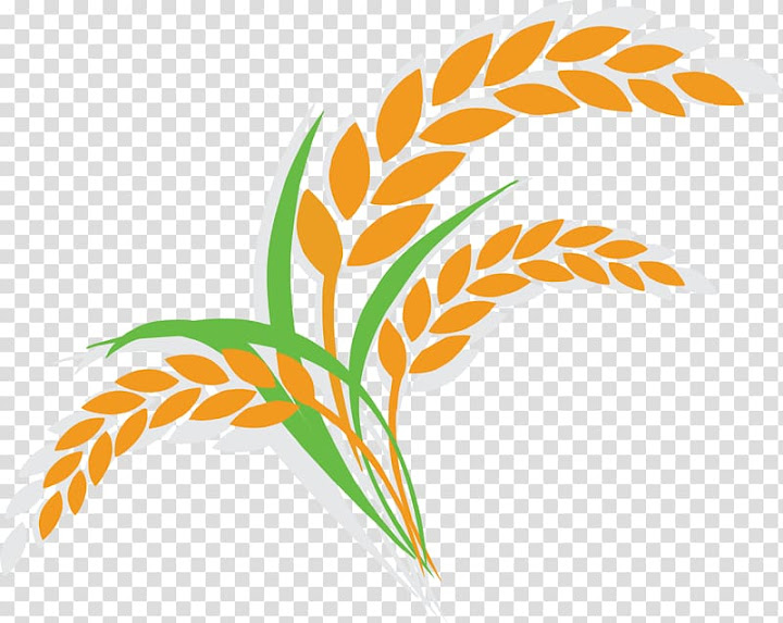 Free: Orange and green plant illustration, Oat Wheat Illustration ...