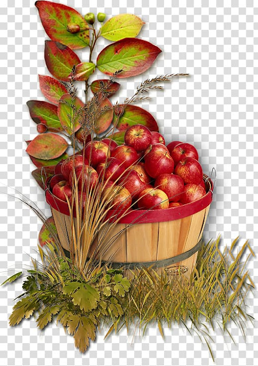 Free: Autumn apple harvest transparent background PNG clipart - nohat.cc