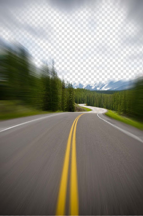 Free: Selective focus of road between tree lines during daytime ...