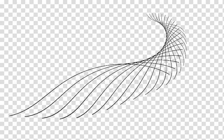 Free: Curves line Black, black string illustration transparent ...