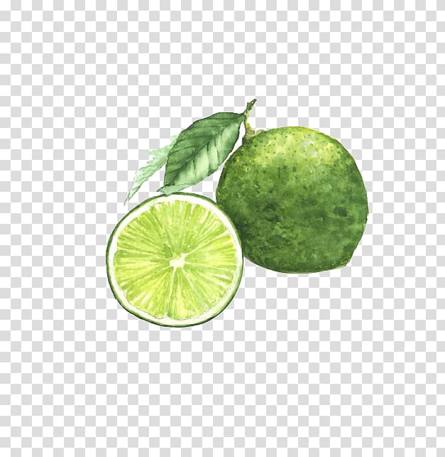 Free: Watercolor painting Lemon Lime , Blue lemon transparent ...