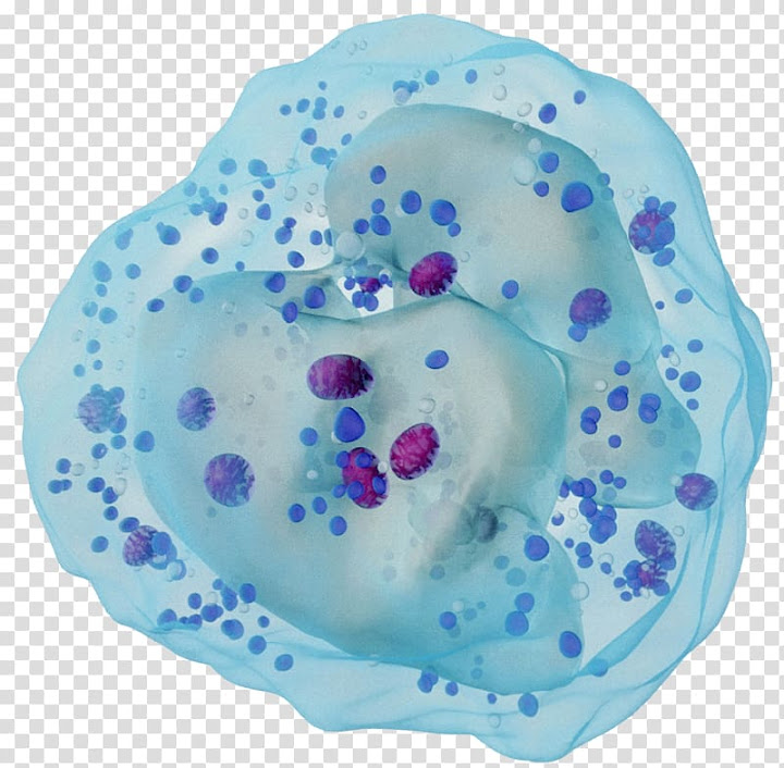 Free: Close-up of teal textile, White blood cell Neutrophil Antibody ...