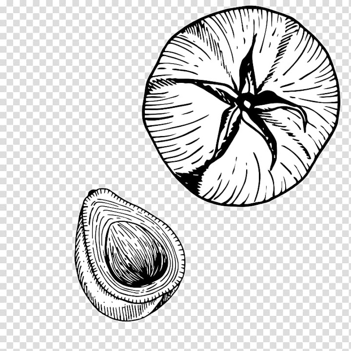 Free: Food Vegetable Ingredient Dish Meal, Delicate line drawing ...