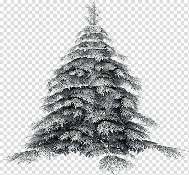 Free: Artificial Christmas tree, snow tree transparent background PNG ...