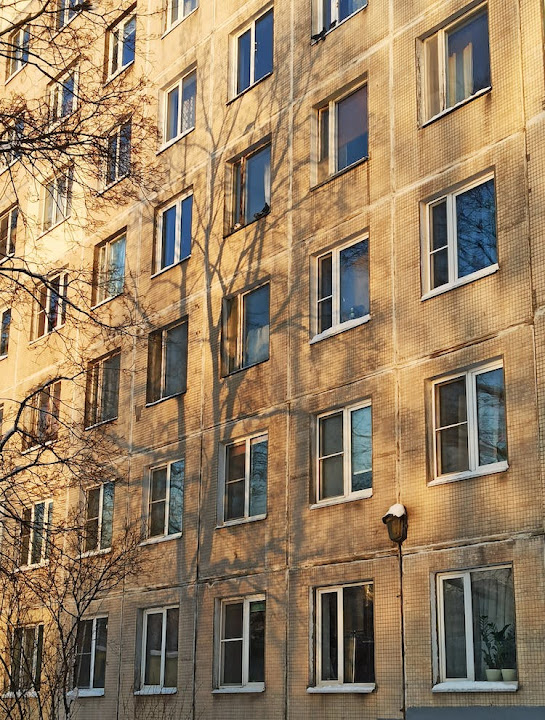 Free: Windows of a Brown Building - nohat.cc