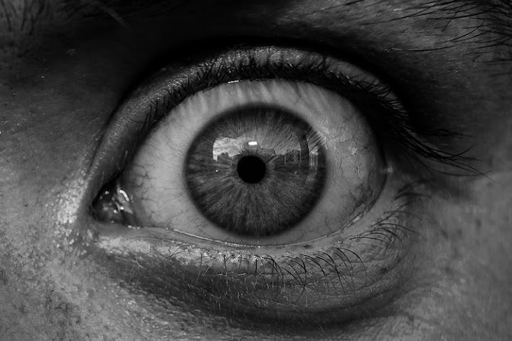 Free: Grayscale Photo of Human Eye - nohat.cc