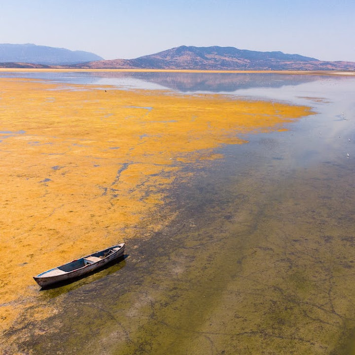 Free: Canoe on Shallow Water at a Lake - nohat.cc