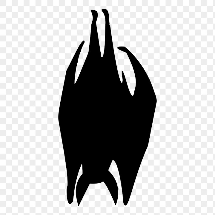 Free: Sleeping bat png silhouette sticker, | Free PNG - rawpixel - nohat.cc