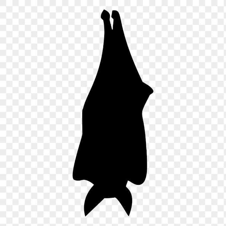Free: PNG sleeping bat silhouette sticker, | Free PNG - rawpixel - nohat.cc