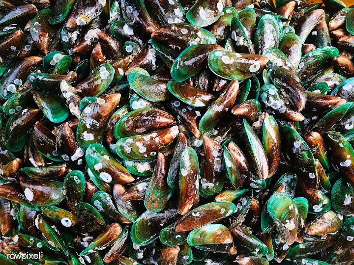 Free: Lots of mussels | Free stock photo - 67788 - nohat.cc