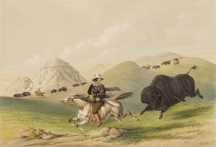 Free: Buffalo Hunt, Chasing back. Original | Free Photo - rawpixel ...