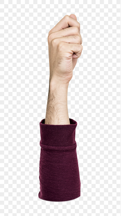Free: Person showing fist png, transparent | Free PNG - rawpixel - nohat.cc
