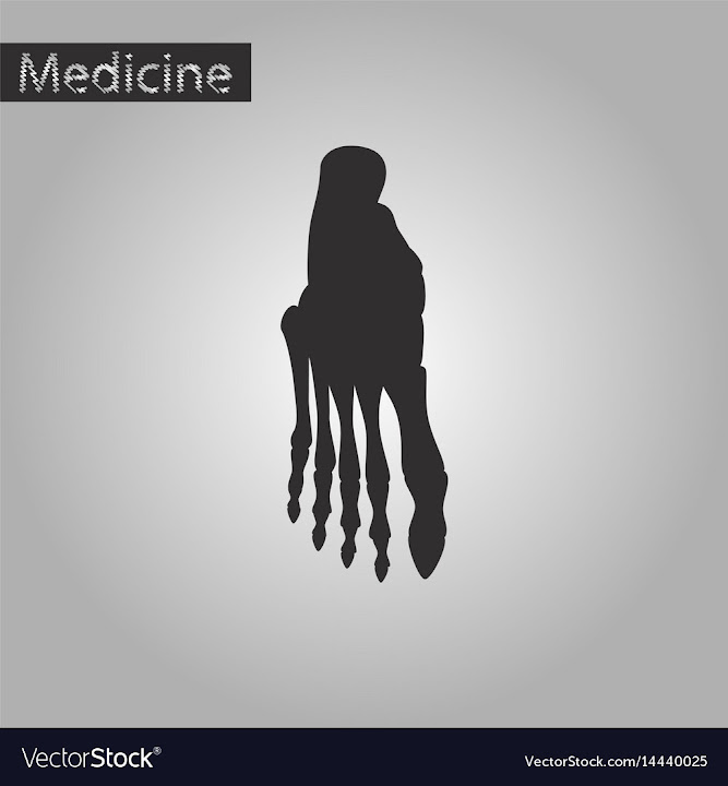 Free: Black and white style icon of foot skeleton vector image - nohat.cc