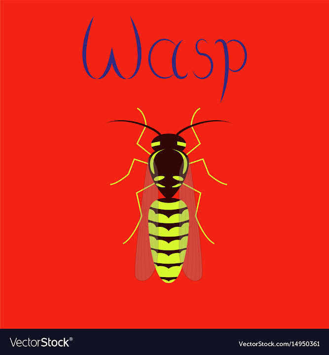 Free: Flat on background insect wasp vector image - nohat.cc