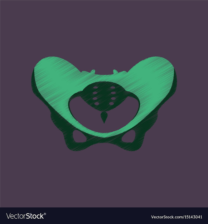 Free: Flat shading style icon pelvic bones vector image - nohat.cc
