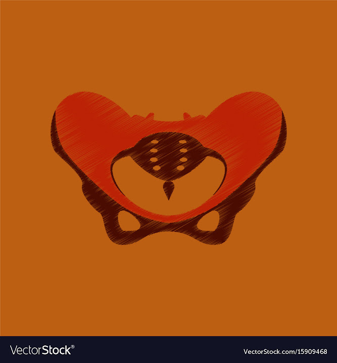 Free: Flat shading style icon pelvic bones vector image - nohat.cc