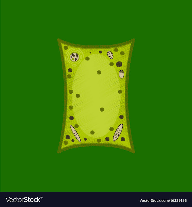 Free: Flat shading style icon plant cell vector image - nohat.cc