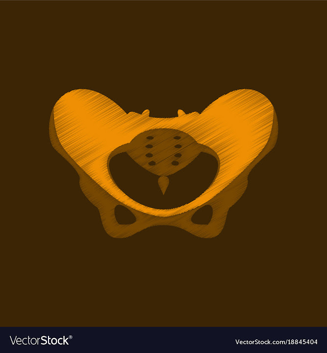 Free: Flat shading style icon pelvic bones vector image - nohat.cc