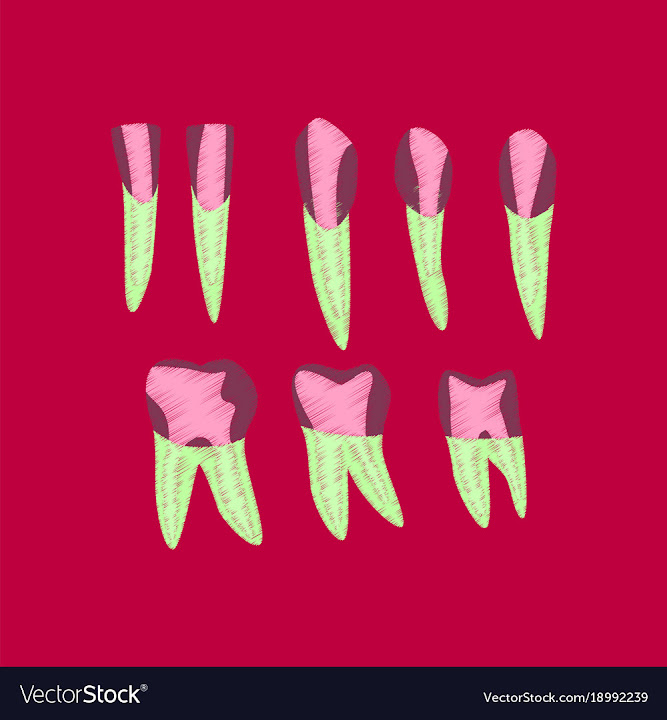 Free: Flat shading style icon tooth vector image - nohat.cc