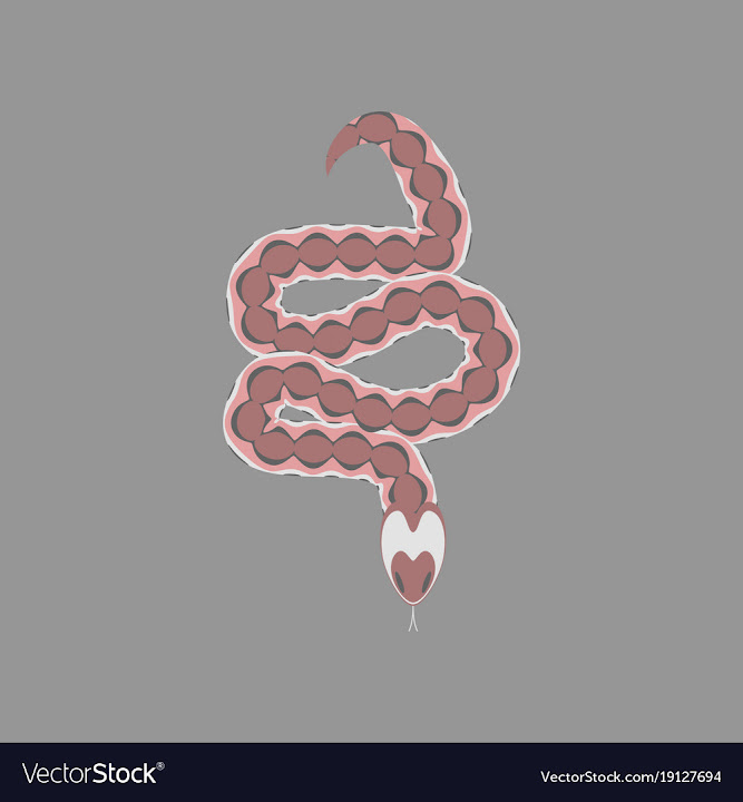 Free: In flat style viper vector image - nohat.cc