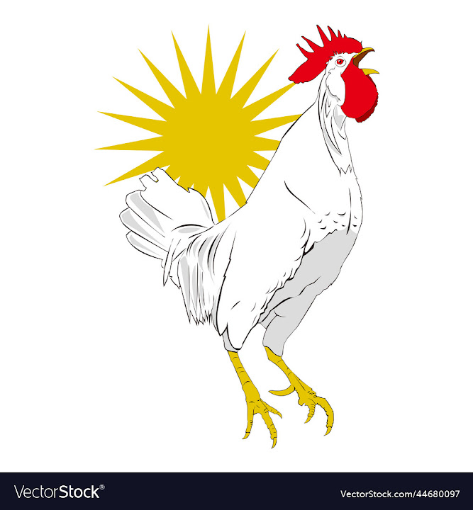 Free: free rooster - nohat.cc