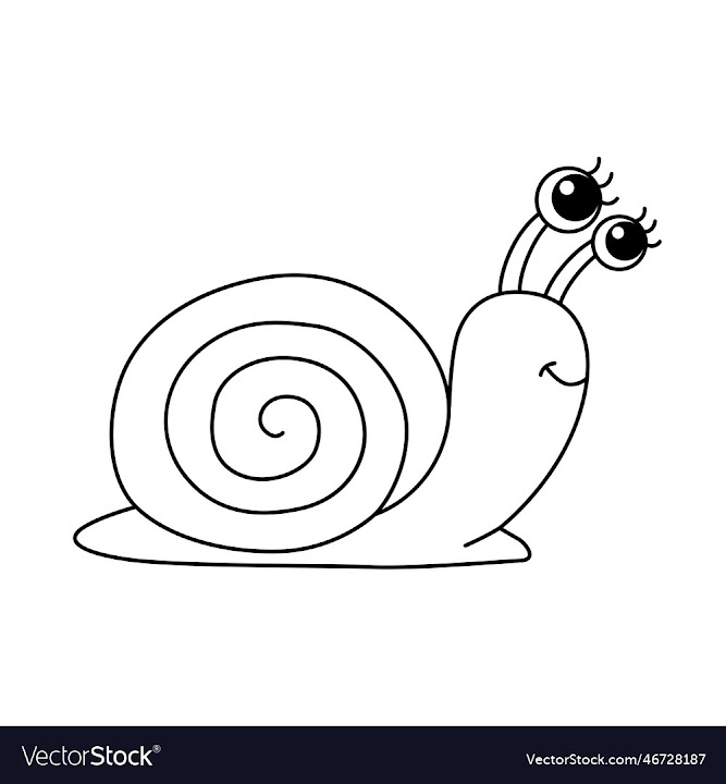 Free: snail cartoon coloring page for kids - nohat.cc
