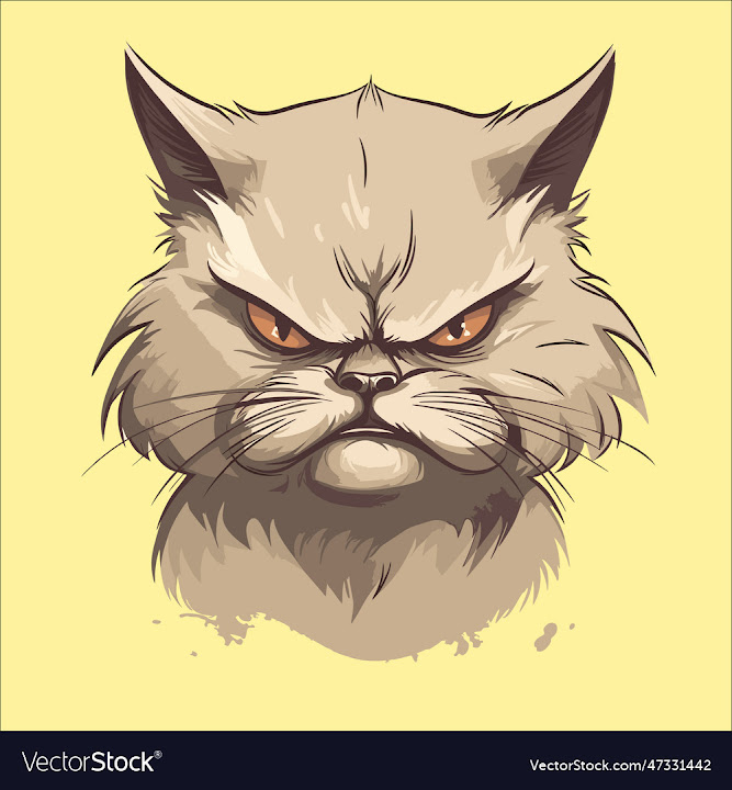 Free: cat with angry expression - nohat.cc