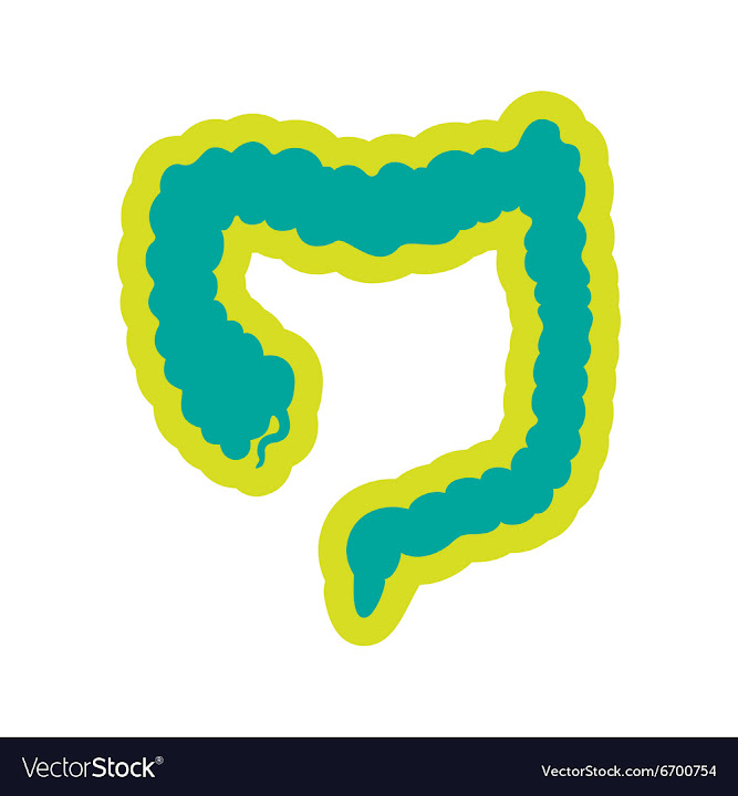 Free: Icon of human duodenum in flat style vector image - nohat.cc