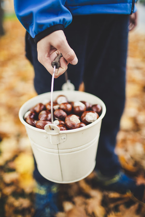 Free: Person Holding Filled Pail - nohat.cc