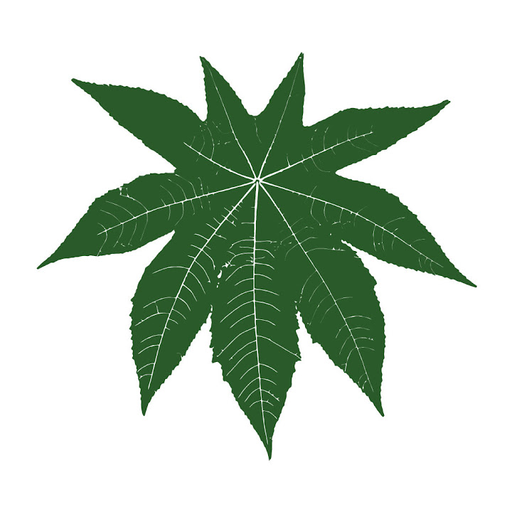 Free: Green castor leaf vector - nohat.cc