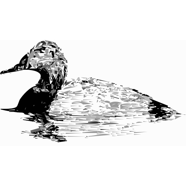 Free: SVG Drake canvasback vector graphics - nohat.cc