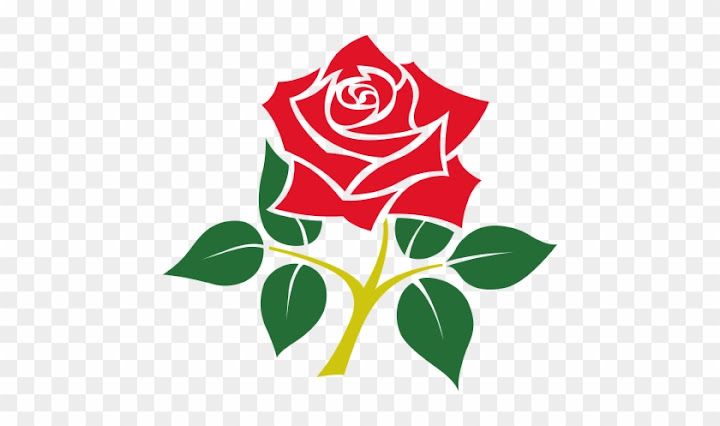 Free: Rose Emblem Of England - nohat.cc