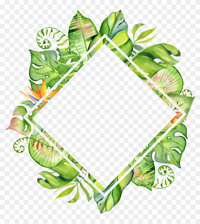 Free: Transparent Leaf Border Transparent Background - Tropical Leaves ...