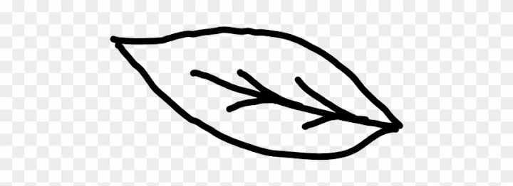 Free: Leaf Outline Transparent Clipart - Leaf Outline Png - nohat.cc