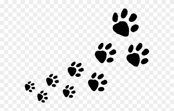 Free: Dog Footprints Clipart - nohat.cc