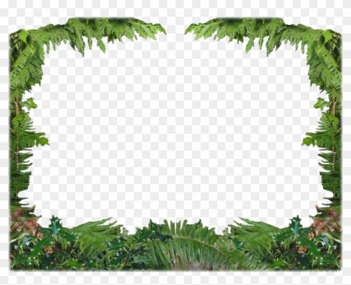 Free: Forest Frame Cliparts - Forest Frame Png - nohat.cc