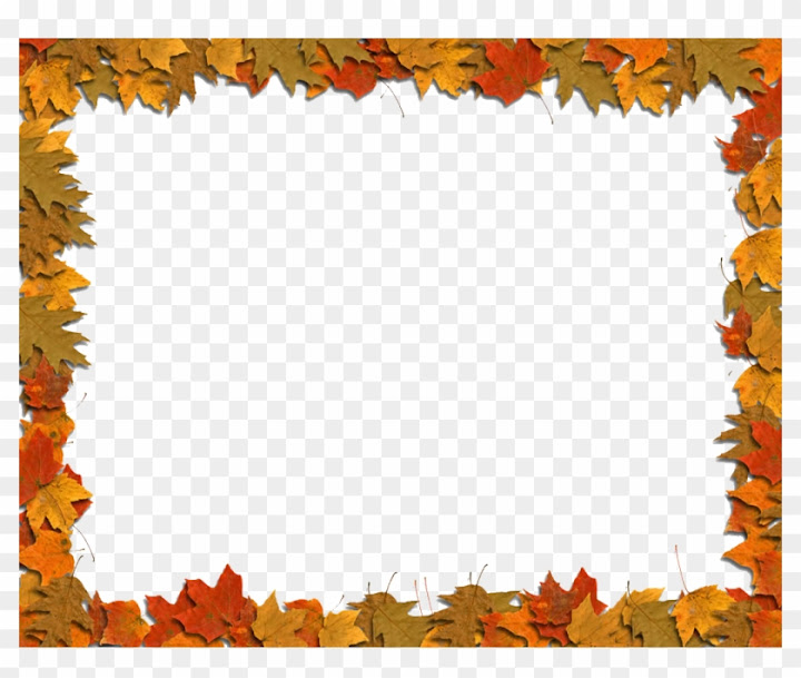 Free: Autumn Leaf Color Clip Art - Fall Leaf Border Clip Art - nohat.cc